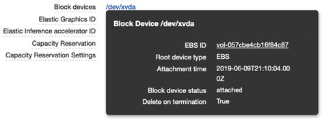 Eddies Blog View And Modify Delete On Termination Setting On Aws Ebs