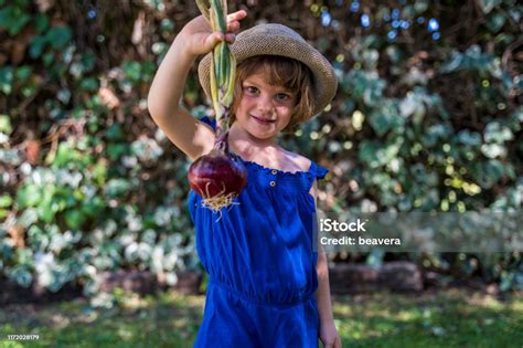 에코 푸드 학습 활동 유기 음식 배경행복 한 아이의 초상화입니다 파머스 채소 시장 농장에 대한 스톡 사진 및 기타 이미지 농장 아이 채소 Istock