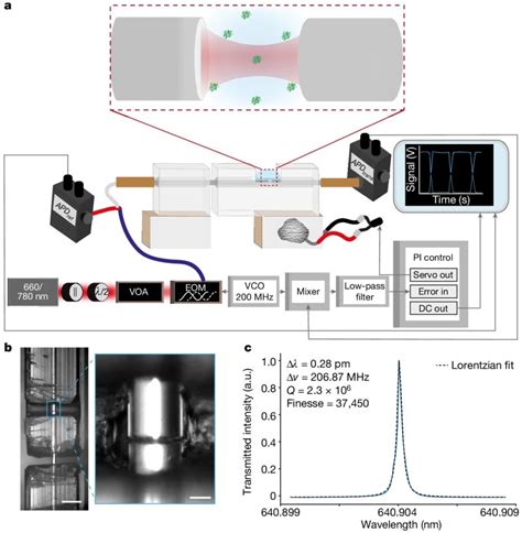 Mohamed Aly Saad Aly Phd Peng On Linkedin Label Free Detection And Profiling Of Individual