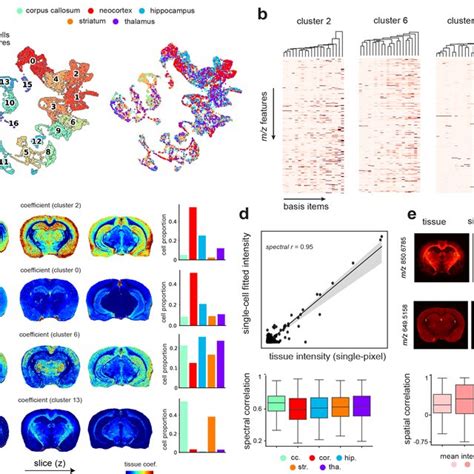 Differential Lipid Profiles Across 11 Brain Structures Revealed By
