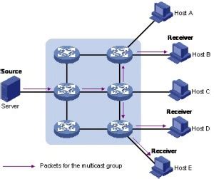 Architecture Of Ns Multicast Projects Network Simulator