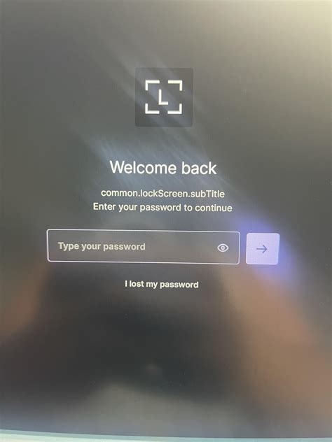 So Was Asked To Update Software In My Ledger App On Windows And Now This Screen Is Coming Up All