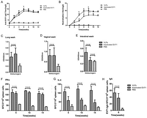 Protective Effect Of Enterovirus‑71 Ev71 Virus‑like Particle Vaccine