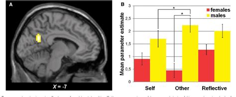 Figure 2 From Sex Differences In The Neural Bases Of Social Appraisals Semantic Scholar
