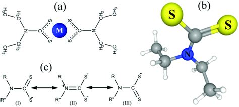 Structure Of A Symmetric Bidentate Complex With Metal M A 3d Download Scientific Diagram