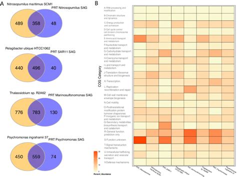 comparison of sags to closely related genomes based on annotated cogs