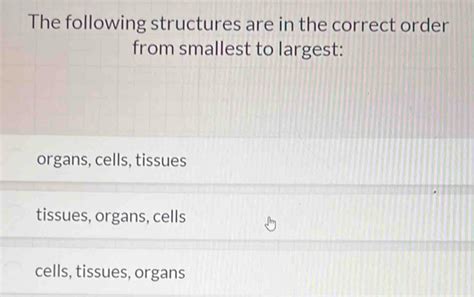 solved the following structures are in the correct order from smallest