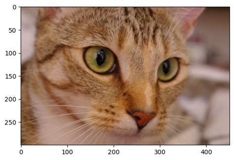 使用全局上下文视觉transformer进行图像分类 Keras 机器学习库
