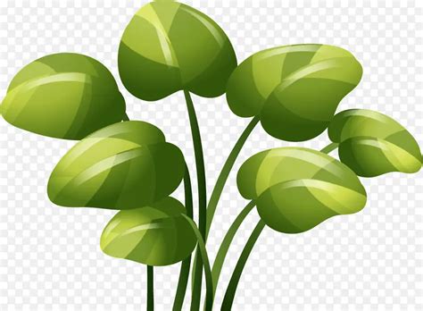 卡通插画绿草png图片素材下载图片编号11191684 Png素材网