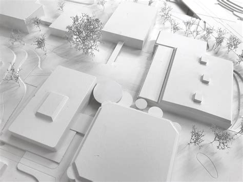 To Tree Or Not To Tree Transversal Architectes Lausanne