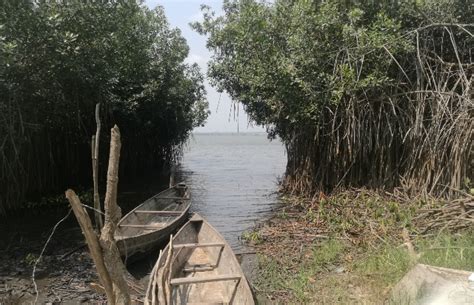 Domaine De 4445m² Au Bord Du Lac Ahémé à Vendre à Agbanto 500 Mètres Du