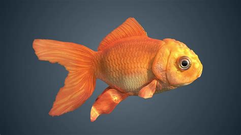 Lauren Quinn On Linkedin Art Artist Animation 3d 3dart 3dartist Cg Cgart Cgartist Zbrush…