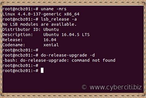 Ubuntu Bash Do Release Upgrade Comando Não Encontrado Info Cafe