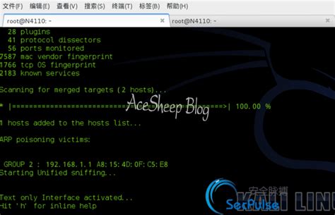 kali linux arp 攻击 acesheep