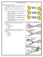 DNA Replication Review W S Edpuzzle Pdf DNA Replication Review Chelsea Chilin Period 1 3 3 22