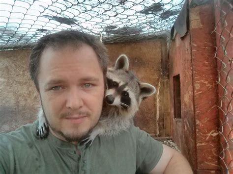 Raccoon Cuddles Are The Best Cuddles Scrolller