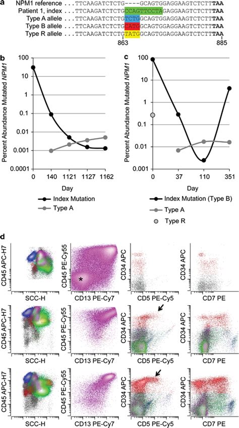 Evidence For Npm1 Mutation Heterogeneity In Clinical Samples A Download Scientific Diagram