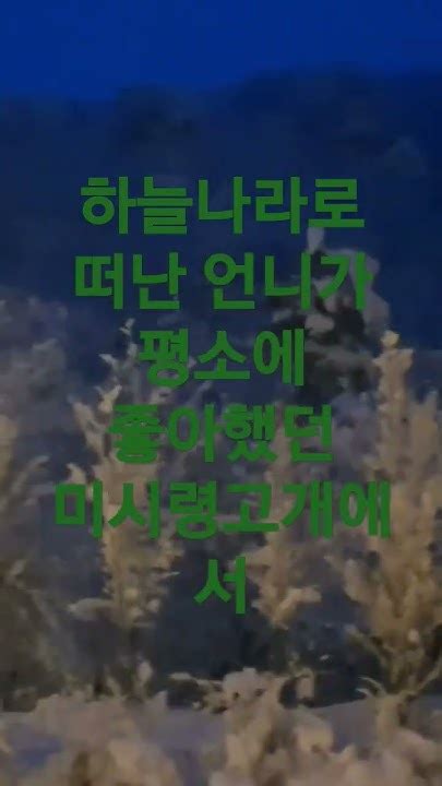 하늘 나라로 떠난 언니가 평소에 좋아했던 눈내린 미시령 고개를 갔다 언니가 보고파서~ Youtube
