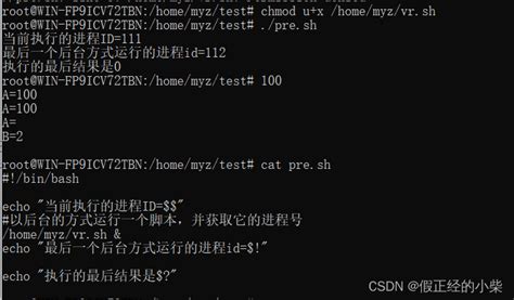 【shell】入门shell（基本变量、环境变量、特殊变量） shell 行号变量 csdn博客