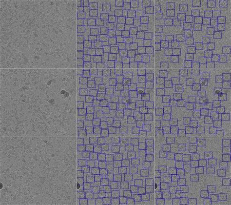 Klt Picker Particle Picking Using Data Driven Optimal Templates Deepai