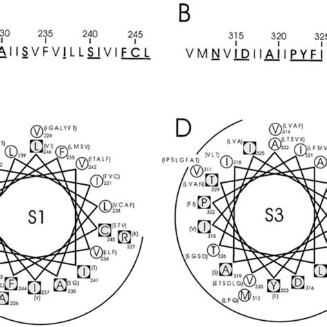 Standard Model For Membrane Topology Of Kv Channels The Lower Cartoon Download Scientific