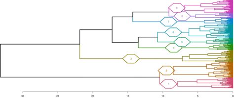 semantic similarity clustering of enriched go terms associated to