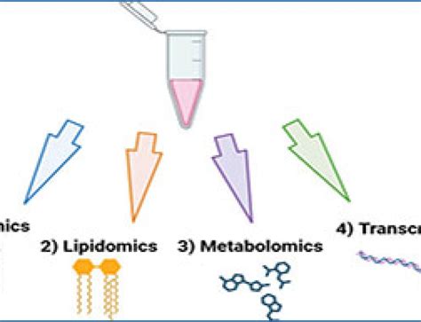 Influence Of Rna Extraction Methods And Library Selection Schemes On Rna Seq Data Rna Seq Blog
