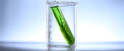 The Principle Of Mixotrophy In Microalgae Culture En Synoxis Algae