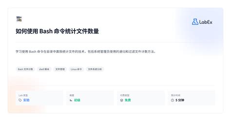 如何使用 Bash 命令统计文件数量 Labex