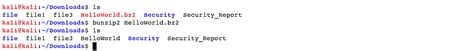 linux basics — command line interface part 9