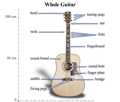 Acoustic Guitar String Diagram