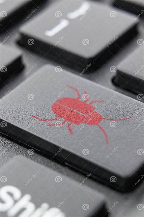 Software Security Concept Errors In The Program Bugs In The Program The Presence Of A