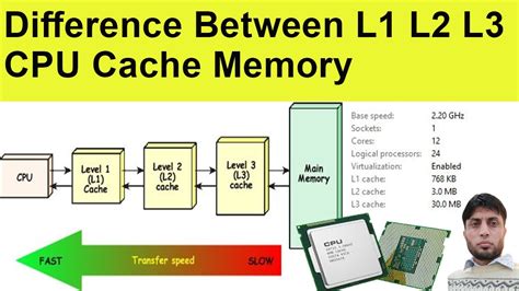 Difference Between L1 L2 L3 Cache Memory Cache Memory Explained YouTube