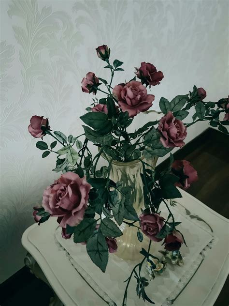 Defocused Background 가벼운 고립 된 물건 고요한 꽃 꽃 머리 꽃 사진 꽃꽂이 꽃무늬 꽃잎 낭만적인 단일 꽃 미니멀리스트 부드러운