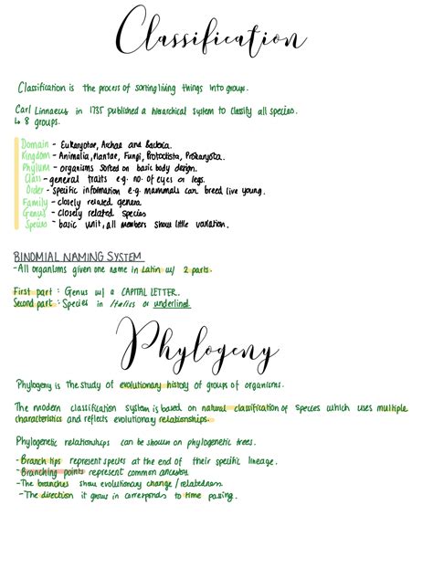Classification Notes Ocr A Classification Is The Process Of Sorting Living Things Into