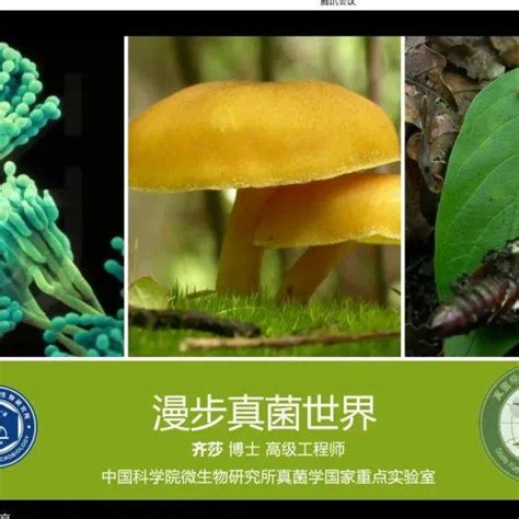 漫步真菌王国——骐骥年级线上博识课程第二讲微生物研究所生活问题
