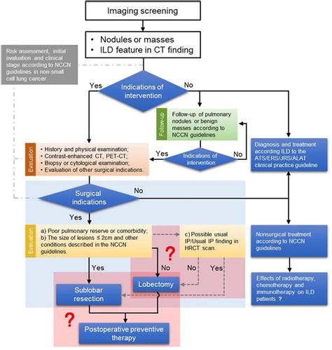 Nccn Nonsmall Cell Lung Cancer Guidelines Update Slides