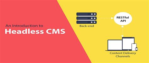 Modern Website With Headless WordPress Development SEO In Delhi