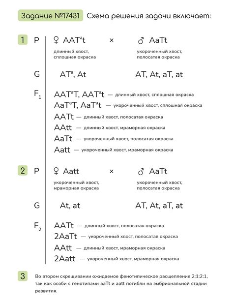Задание №17431 У кошек рецессивный аллель T в гомозиготном состоянии определяет мраморную