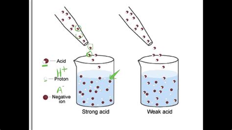 Strong Acids And Base Dissociation