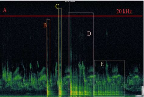 Spectrogram Of Bird Song And A Cry Of A Frightened Male Roe Deer Download Scientific Diagram
