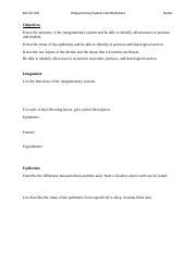 Understanding The Integumentary System Anatomy Layers And Course Hero