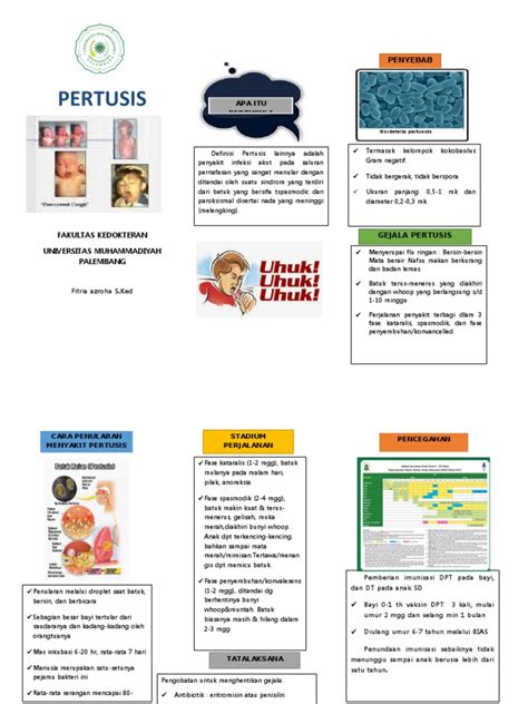 Pertusis Penyebab Gejala Dan Pencegahan Penyakit Pertusis Pdf