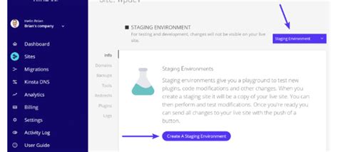 Staging Environment How A Wordpress Staging Ensures Website Safety