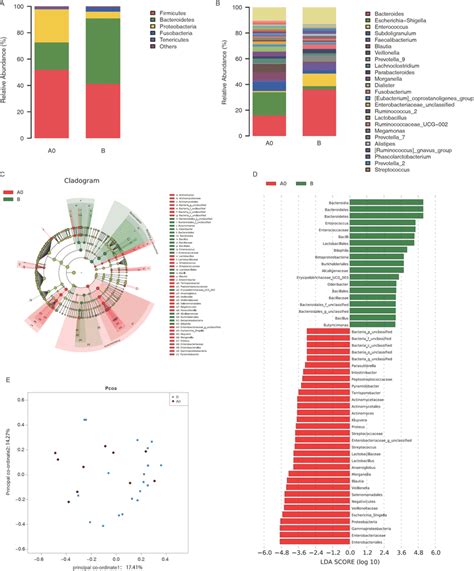 Comparison Of Gut Microbiota Between Preoperative Group B And