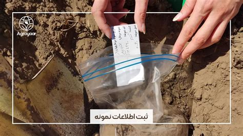 راهنمای نمونه برداری از خاک