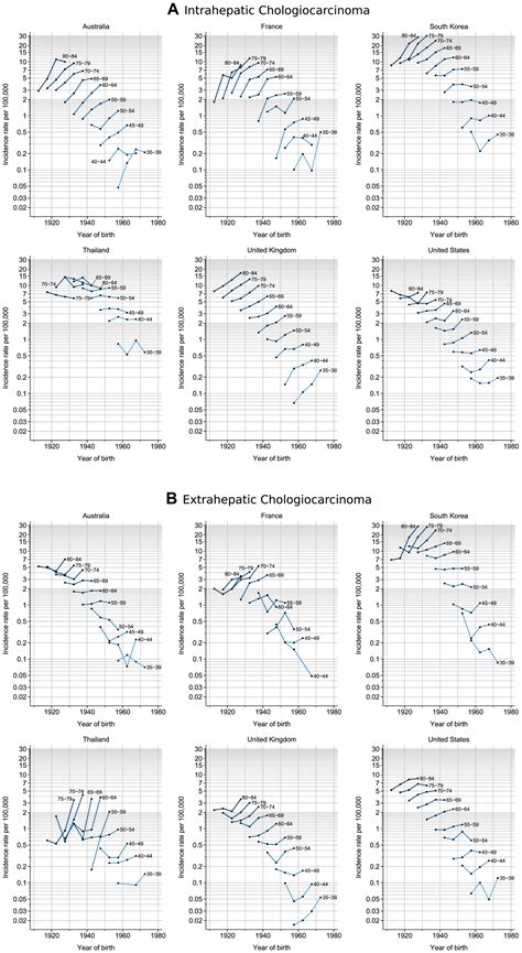 Global Trends In Intrahepatic And Extrahepatic Cholangiocarcinoma Incidence From 1993 To 2012