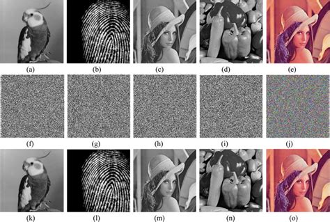 The Results Of Encryption And Decryption A Plain Image Of Bird B Download Scientific