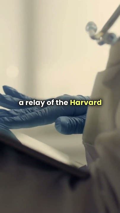 The Surprising Origin Of Computer Bugs Facts Computerscience Youtube