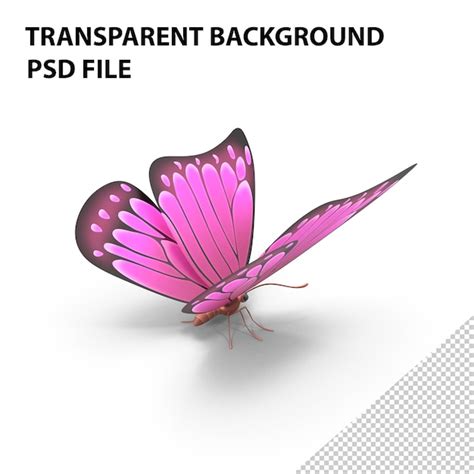 Psd De Flutter Mariposa 2 000 Plantillas Psd Gratuitas De Gran Calidad Para Descargar